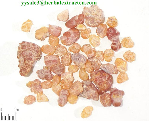 Boswellic Acid, CAS#: 471-66-9, Boswellia serrata Extract, Chinese manufacture, Anti-inflammatory, Boswellia Resin