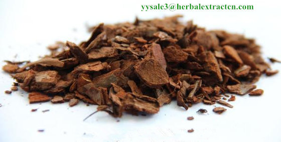manufacture Pine bark Extract OPC 95% Fighting aging , help wrinkled skin, Shaanxi Yongyuan Bio-Tech , herbal extract