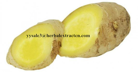 Ginger Extract,Black ginger Extract, Gingerol 5% 6% HPLC, 10:1, CAS No.: 1391-73-7, blood stimulant and cleansing,nature