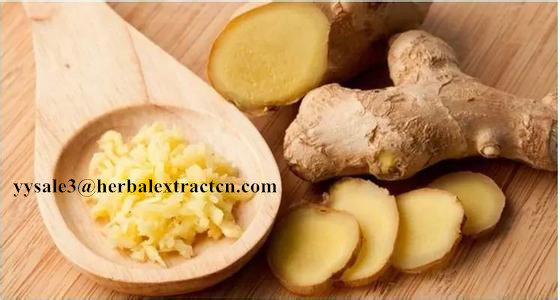 Ginger Extract,Black ginger Extract, Gingerol 5% 6% HPLC, 10:1, CAS No.: 1391-73-7, blood stimulant and cleansing,nature
