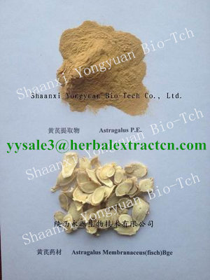 SALE! manufacture Astragalus Extract Polysaccharide 50% top quality, enhance immunity , 100% natural, for  poultry produ