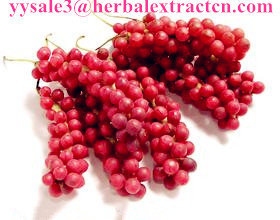 Schisandra Extract, liver protection Chinese herbs, Traditional Chinese herbs, Schisandrins, natural