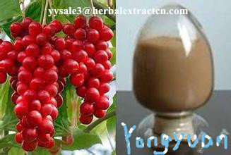 Schisandra Extract, liver protection Chinese herbs, Traditional Chinese herbs, Schisandrins, natural
