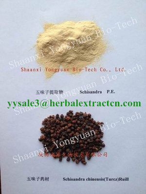 Schisandra Extract, liver protection Chinese herbs, Traditional Chinese herbs, Schisandrins, natural