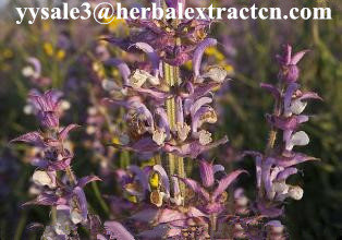 Sclareolide 98%GC, CAS NO.: 564-20-5 fragrance-adding, flavor-rectifying, help reducing fat, Shaanxi Yongyuan Bio-Tech