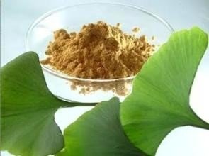 New Products! water soluble Ginkgo Biloba Extract flavone glycosides30%&Total Ginkgolides8%, Pharmaceutical standard