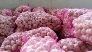 Garlic Extract , natural Allicin,  natural animal feed additive, Chinese Manufacturer,Shaanxi Yongyuan Bio-Tech
