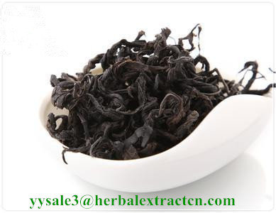 Eucommia Ulmoides P.E.,100% natural feed additive, Antibacterial, antiviral, Food Supplements material, Chinese supplier