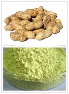 Quality Luteolin 98%, Pure active ingredient, CAS No.: 491-70-3, Chinese supplier