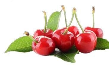 hot selling Acerola Extract, VC 17%,5%, Enhancing immune system, Chinese manufacturer