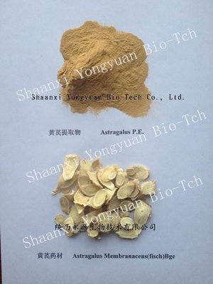 100% NATURAL Astragalus Root Extract Total Flavonoids of Astragalus 5%-20%, certified Chinese manufacturer