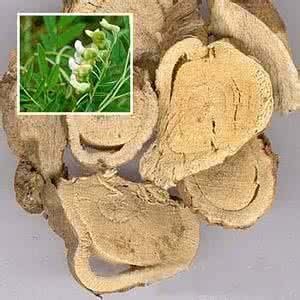 Matrine 98%, ,Sophora flavescens Extract, CAS No.: 519-02-8,naturao pesticide, High quality from Chinese supplier