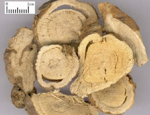 Matrine 98%, ,Sophora flavescens Extract, CAS No.: 519-02-8,naturao pesticide, High quality from Chinese supplier