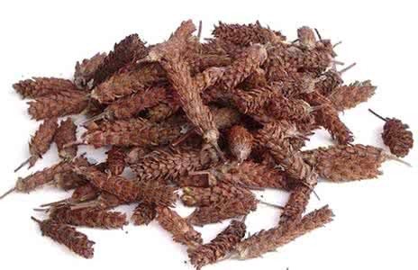 Prunella Vulgaris Extract, anti-inflammatory, antibiotic, anti-tumor, 100% natural ingredient , Chinese manufacturer