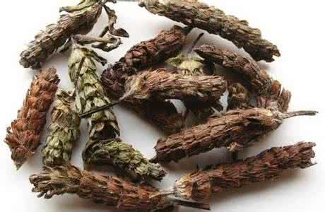 Prunella Vulgaris Extract, anti-inflammatory, antibiotic, anti-tumor, 100% natural ingredient , Chinese manufacturer