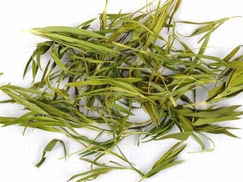 Lophatherum Gracile Extract, Common Lophatherum leaf extract, 10:1 TLC, Chinese Manufacturer, hifh quality