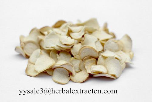Cynanchi Wilfordii Radix Root Extract, Cynanchum bungei Extract, 10:1, Chinese manufacturer, Shaanxi Yongyuan Bio-Tech