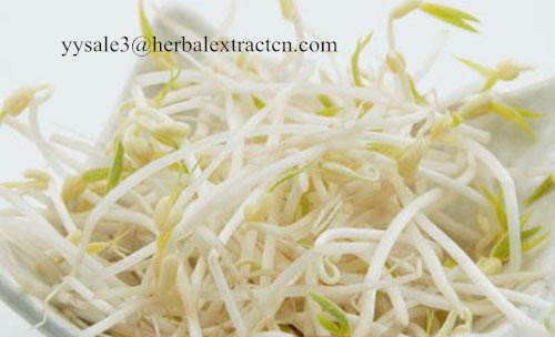 Bean Sprout Extract, Soya Sprout Powder, 10:1 TLC, natural ingredients for Healthcare food, skin care, exporter