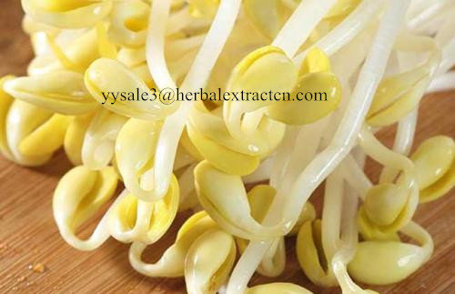 Bean Sprout Extract, Soya Sprout Powder, 10:1 TLC, natural ingredients for Healthcare food, skin care, exporter