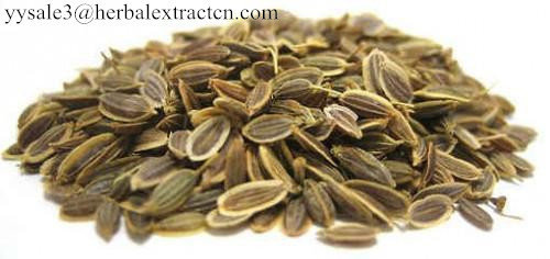 Dill Seed Extract, 10:1 TLC, 100% natural feed additive, food additive, Shaanxi Yongyuan Bio-Tech, manufactuerer