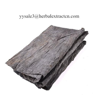 Kombu Extract, Kelp Extract, 10:1 TLC, Chinese Manufacturer, Shaanxi Yongyuan Bio-Tech, for health food, feed, cosmetic