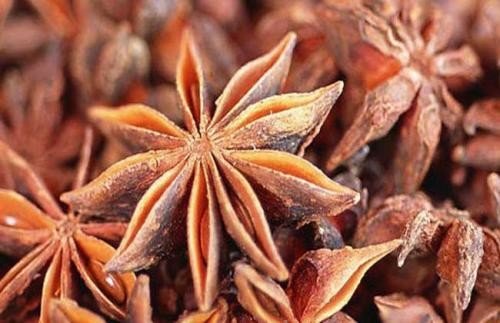 Fructus anisi stellati Extract, Star Anise Extract, 10:1, Traditional Chinese herb Extract, 100% natural high quality