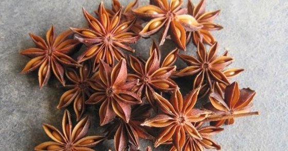 Fructus anisi stellati Extract, Star Anise Extract, 10:1, Traditional Chinese herb Extract, 100% natural high quality