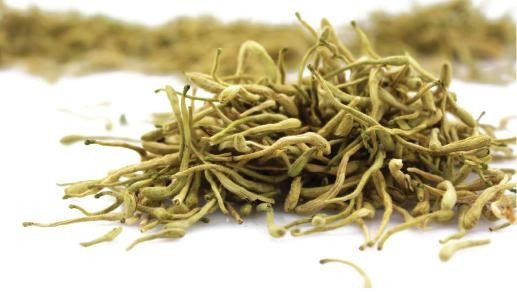 Lonicera Japonica Extract, HoneySuchle Extract, Chlorogenic acid 3%-98%, CAS No: 327-97-9,Shaanxi Yongyuan Bio, exporter