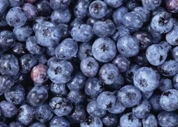 anthocyanidins series, Bilberry Extract, anthocyanidins 5%-30%, anthocyanins 5%-35%, Cranberry Extract, Exporter