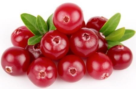 Cranberry Extract, 5%-10% anthocyanidin, 10%-50% Proanthocyanidin DMAC, Blueberry, bilberry extract, Shaanxi Yongyuan