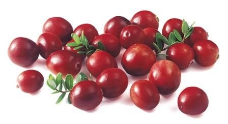 Cranberry Extract, 5%-10% anthocyanidin, 10%-50% Proanthocyanidin DMAC, Blueberry, bilberry extract, Shaanxi Yongyuan