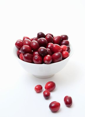 Cranberry Extract, 5%-10% anthocyanidin, 10%-50% Proanthocyanidin DMAC, Blueberry, bilberry extract, Shaanxi Yongyuan