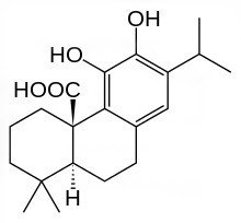 Rosemary Extract, Carnosic Acid 5%-95% HPLC, CAS No.: 3650-09-7, high quality , Chinese manufacturer, Shaanxi Yongyuan