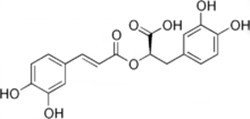 Rosemary Extract,  Rosmarinic Acid 5%-30% HPLC , CAS No.: 20283-92-5, Shaanxi Yongyuan Bio-Tech, exporter