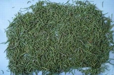 Rosemary Extract,  Rosmarinic Acid 5%-30% HPLC , CAS No.: 20283-92-5, Shaanxi Yongyuan Bio-Tech, exporter