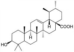 Rosemary Extract,  Ursolic Acid 10%-98% HPLC , CAS No.: 77-52-1, Shaanxi Yongyuan Bio-Tech, exporter