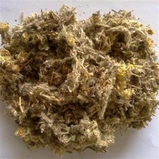 Cudweed Herb Extract, Gnaphaii Affinis Extract, 10:1, TLC, TCM Extract, Manufacturer, Shaanxi Yongyuan Bio-Tech