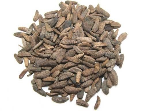 Burdock Root Extract, Burdock Fruit Extract, 10:1 TLC, Traditional Chinese Medicine, Manufacturer, Shaanxi Yongyuan Bio