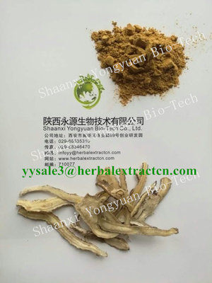 Dong Quai Extract, Angelica Extract, Ligustilide 1%, CAS No.: 4431-01-0, TCM Extract, High quality, Shaanxi Yongyuan Bio