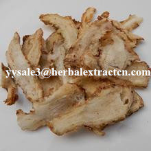 Dong Quai Extract, Angelica Extract, Ligustilide 1%, CAS No.: 4431-01-0, TCM Extract, High quality, Shaanxi Yongyuan Bio