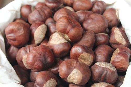 manufacturer supply Horse Chestnut Extract, Aescin 20% 40% 98%, CAS No.: 6805-41-0, Aesculus hippocastanum Extract