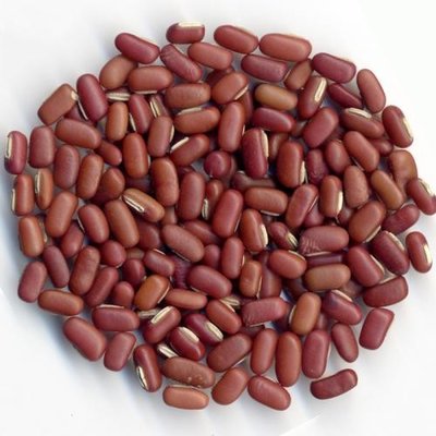 competitive Rice Bean Extract, Vigna Umbeuata Extract, 10:1TLC, Chinese factory, export standard, Shaanxi Yongyuan