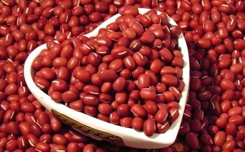 competitive Rice Bean Extract, Vigna Umbeuata Extract, 10:1TLC, Chinese factory, export standard, Shaanxi Yongyuan