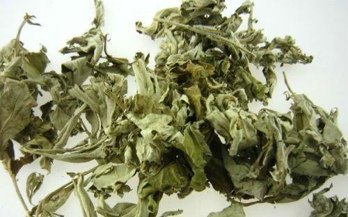 Factory Aiye Leaf Extract, Artemisia argyi Levl Extract 10:1 TLC, TCM Extract, 100% natural, Chinese manufacturer