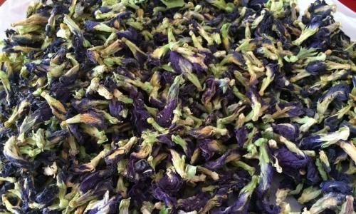 high quality Butterfly pea Extract, Butterfly pea Powder,5:1 TLC, beverage ingredient, Chinese manufacturer