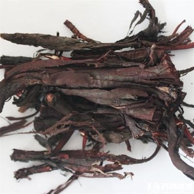 women care natural ingredient, factory Comfrey Extract, Symphytum Officinale Extract, 10:1 TLC, TCM Extract, export