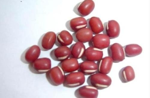 manufacturer Red adzuki bean extract, Red Bean Extract 10:1 TLC, Red Bean Powder, Chinese manufacturer