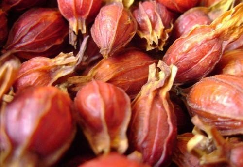 Genipin 98% HPLC, CAS No.: 6902-77-8, Gardenia Extract, Geniposide98%, high quality Shaanxi Yongyuan Bio-Tech