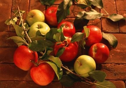 Phloretin 90%-98%, CAS No.: 60-82-2, natural skin whiten, Apple Extract, Cosmetic ingredients, Shaanxi Yongyuan Bio-Tech