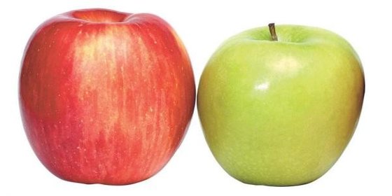 Apple fruit Powder, Chinesefactory natural fruit powder, Shaanxi Yongyuan Bio-Tech